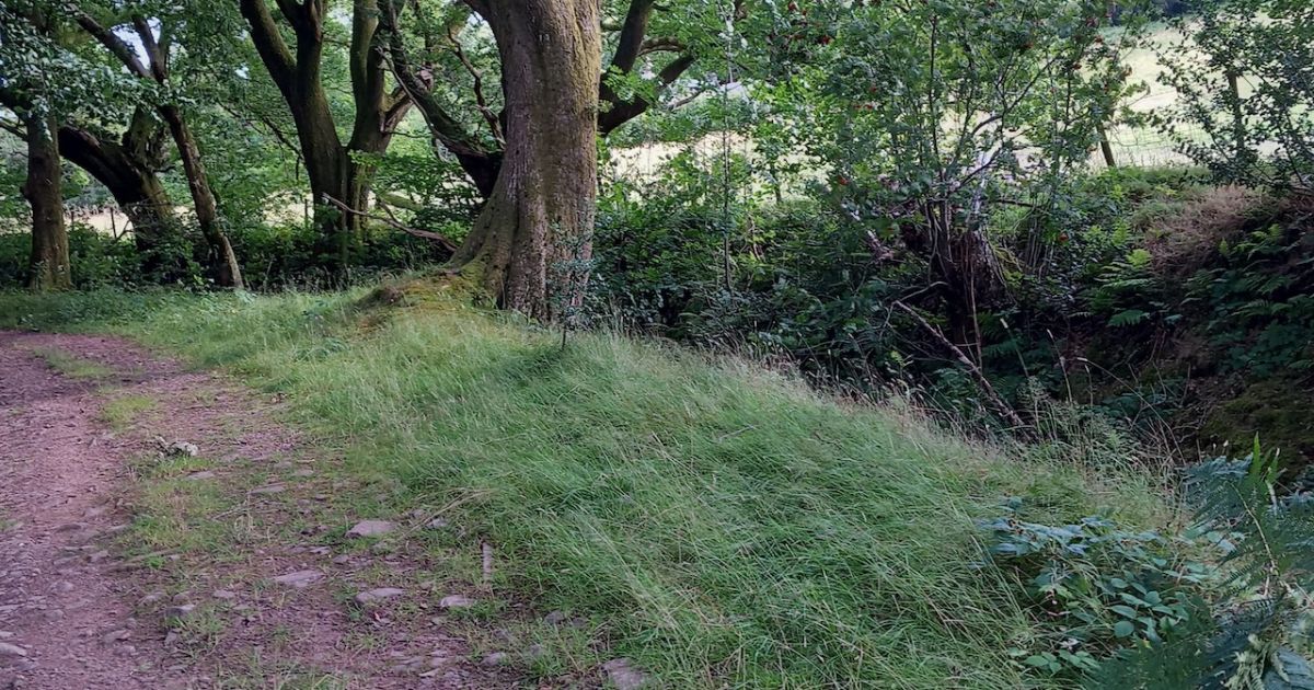 Cwm Oergwm Circular Walk - Ramblers